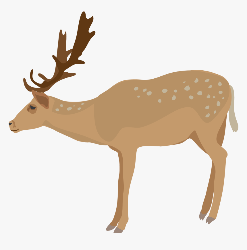 Buck Clipart Transparent Background - Deer Clipart Transparent ...