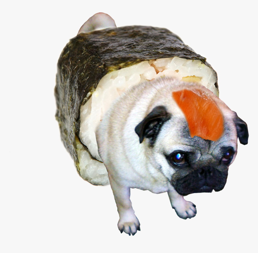 Transparent Pug Clipart Images - Pug Sushi, HD Png Download ...