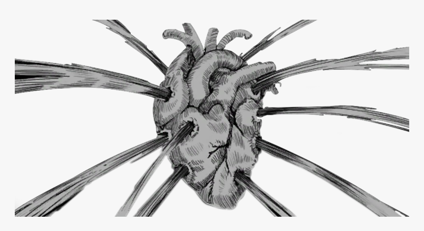 Hunt Showdown Fanning Perk, HD Png Download , Transparent Png Image ...