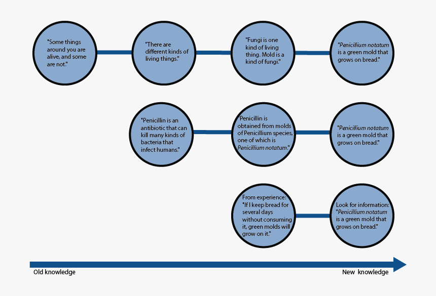 Three Chains Of Previous Pieces Of Knowledge That Are - Cartoon, HD Png ...