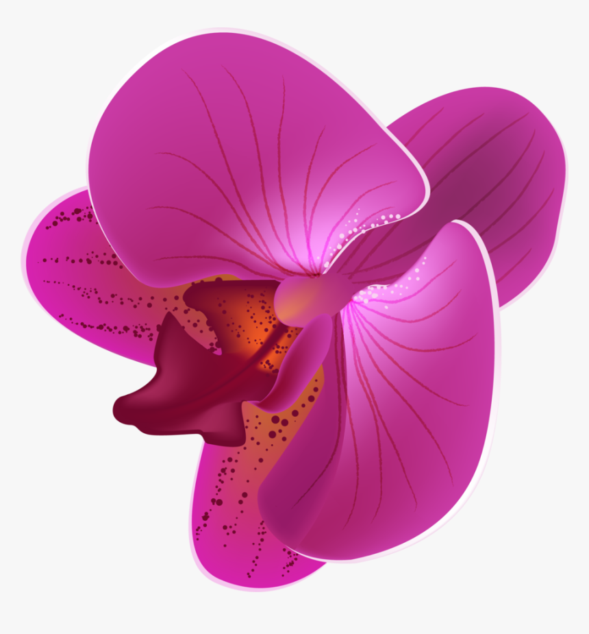 Orchid Clipart Animated - Orchid Flower Vector Png, Transparent Png ...