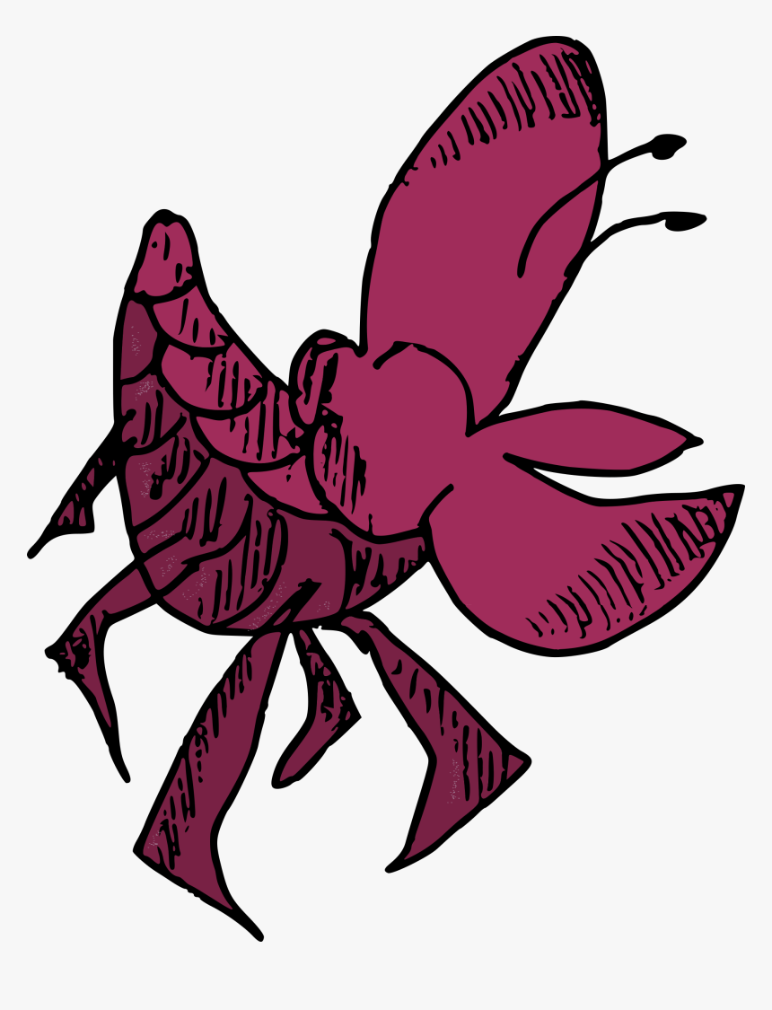 Shellfish Clipart - Shellfish, HD Png Download , Transparent Png Image ...