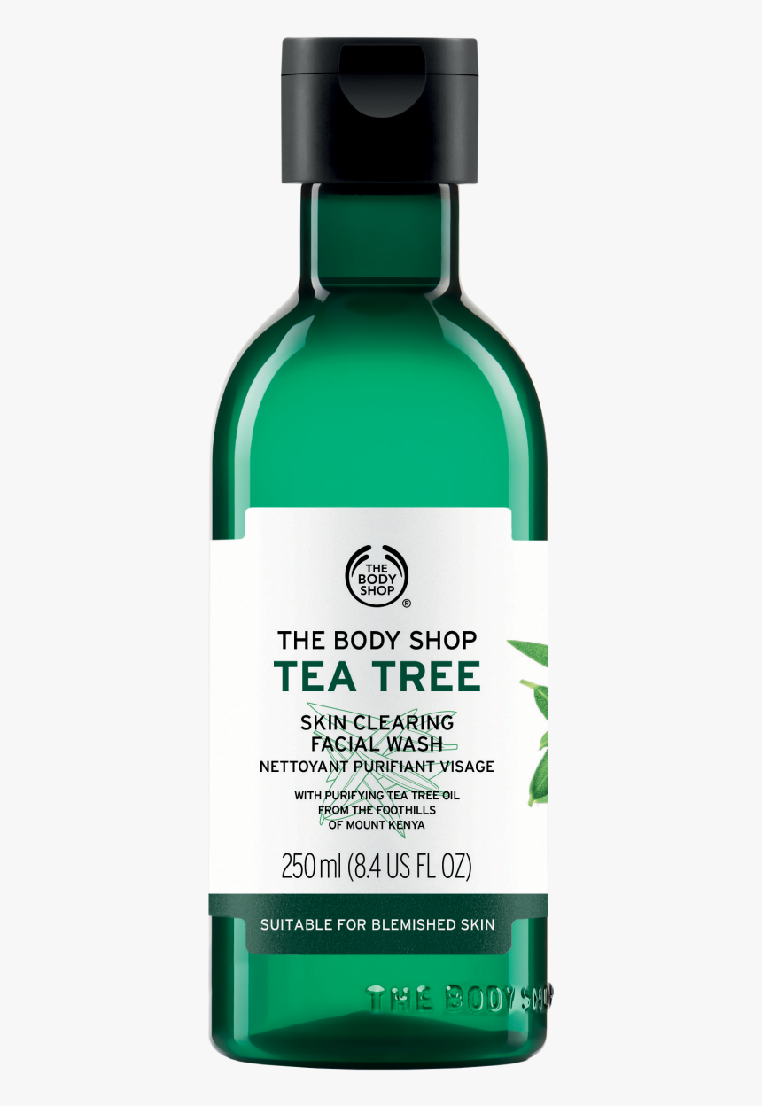 Body Shop, HD Png Download , Transparent Png Image - PNGitem