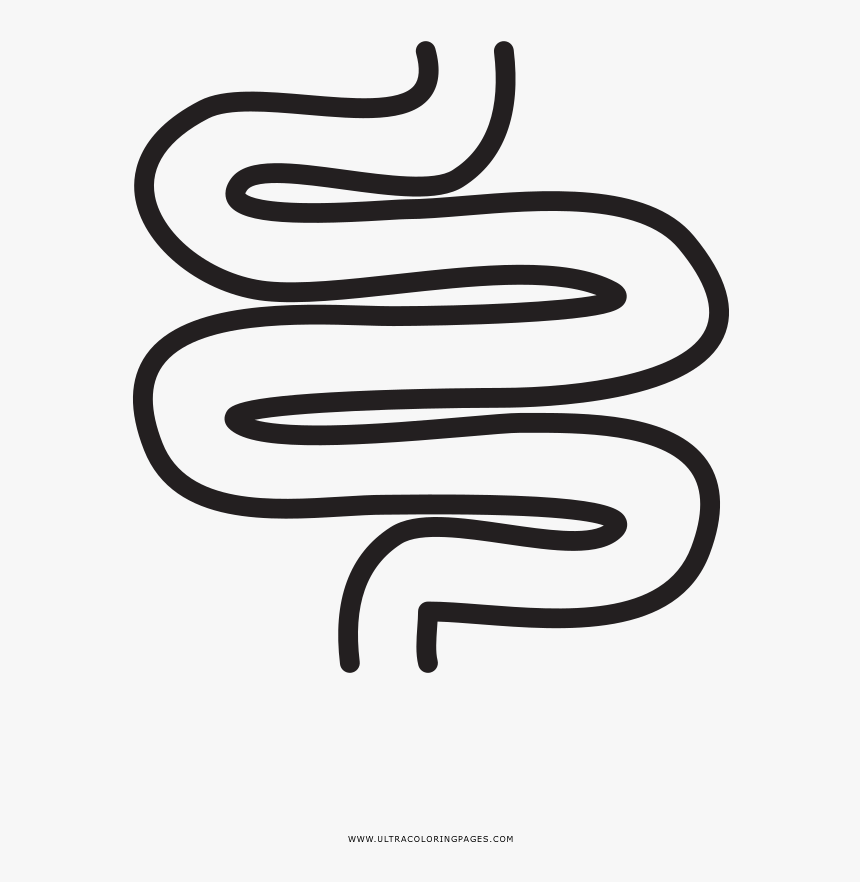 Transparent Intestine Png - Calligraphy, Png Download , Transparent Png ...
