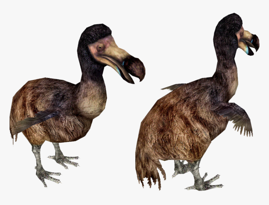 Dodo Running, HD Png Download , Transparent Png Image - PNGitem