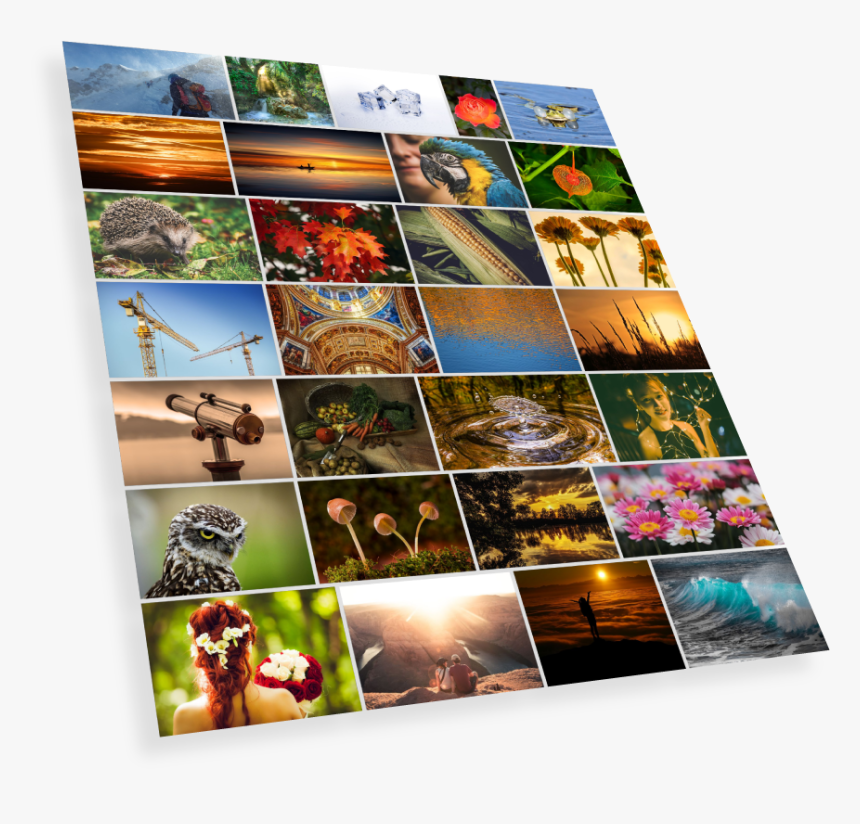 Collage, HD Png Download , Transparent Png Image - PNGitem