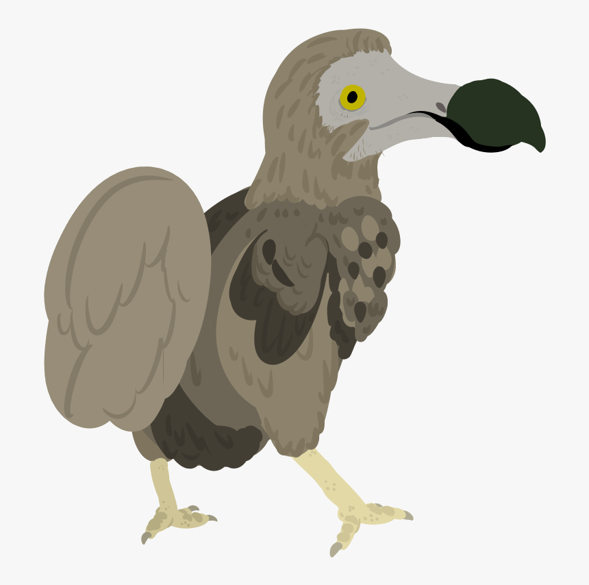 Dodo, HD Png Download , Transparent Png Image - PNGitem