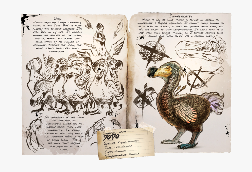 Dinosaurs Ark Survival, HD Png Download , Transparent Png Image - PNGitem