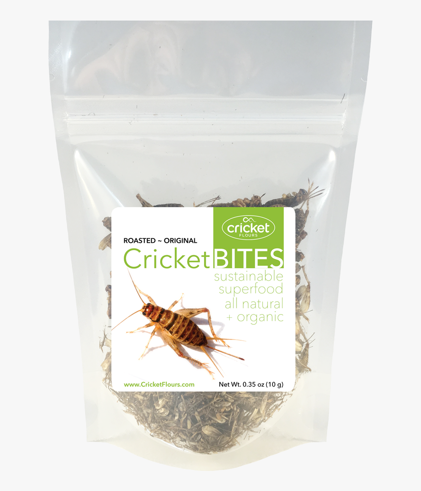 Roasted Crickets & Dried Crickets - Dry Roasted Crickets, HD Png ...