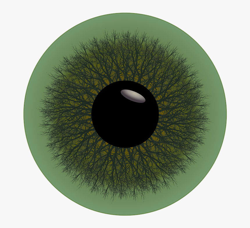 Eye, Iris, Green, Trees, Circle, Pupil, Sight, Looking - Circle, HD Png ...