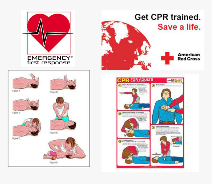 Picture - First Aid Wall Chart, HD Png Download , Transparent Png Image ...