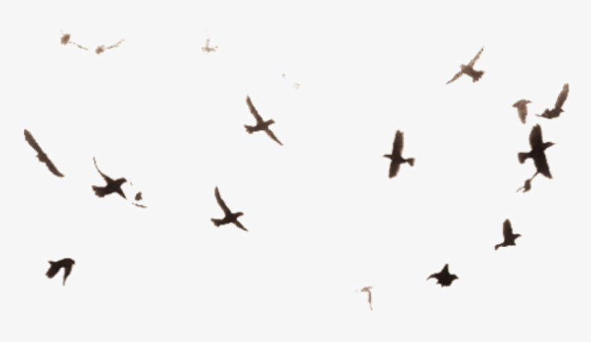 Senri Shiki, HD Png Download , Transparent Png Image - PNGitem