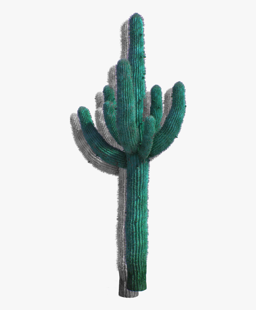 Desert Cactus , Png Download - Acanthocereus Tetragonus, Transparent ...