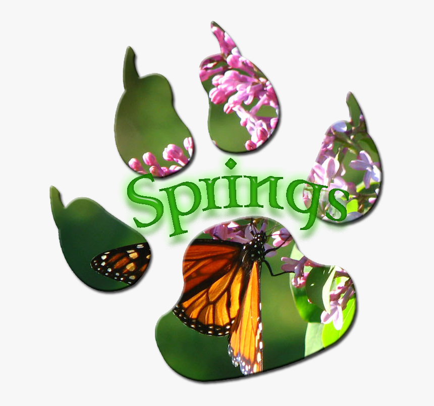 Spring Paw Print By Ariasnow - Monarch Butterfly, HD Png Download ...