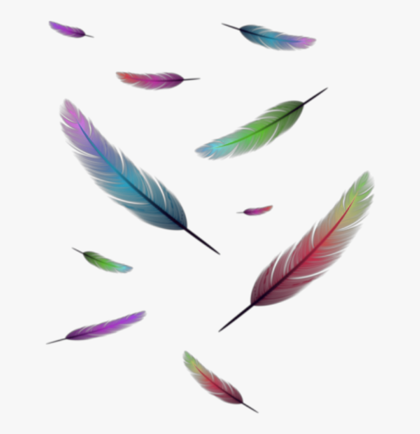 Floating Feathers Png - Floating Colourful Feather, Transparent Png ...