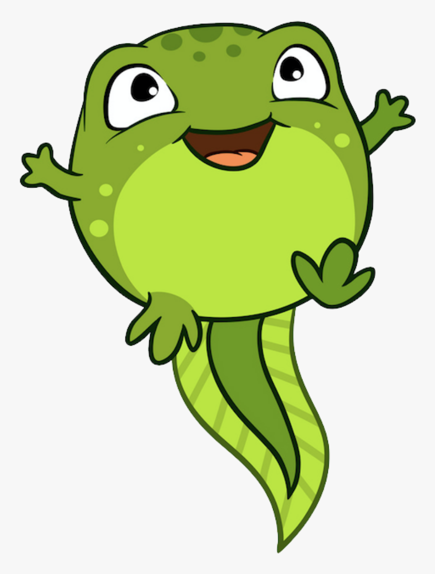 Cute Tadpole Clipart, HD Png Download , Transparent Png Image - PNGitem