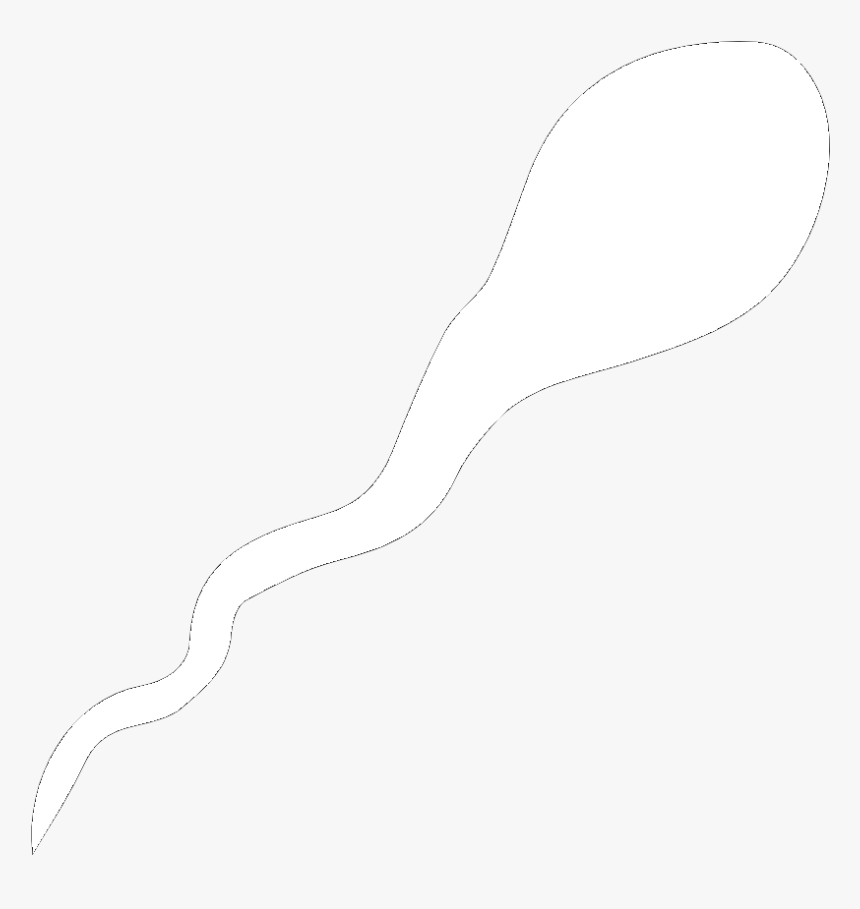 Symbol Tadpole - Drawing, HD Png Download , Transparent Png Image - PNGitem