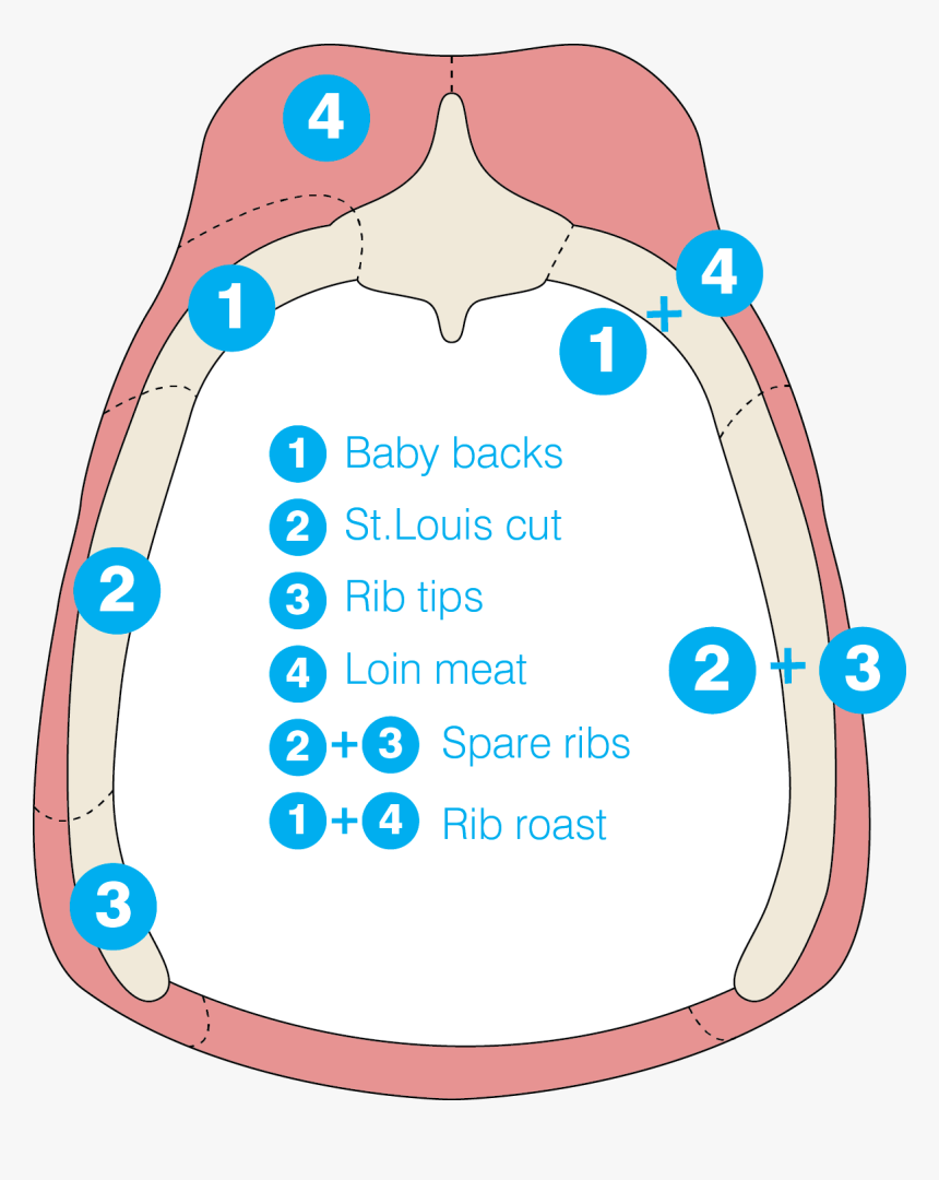 Spare Ribs Vs Baby Back Ribs, A Diagram - Pork Ribs Diagram, HD Png ...