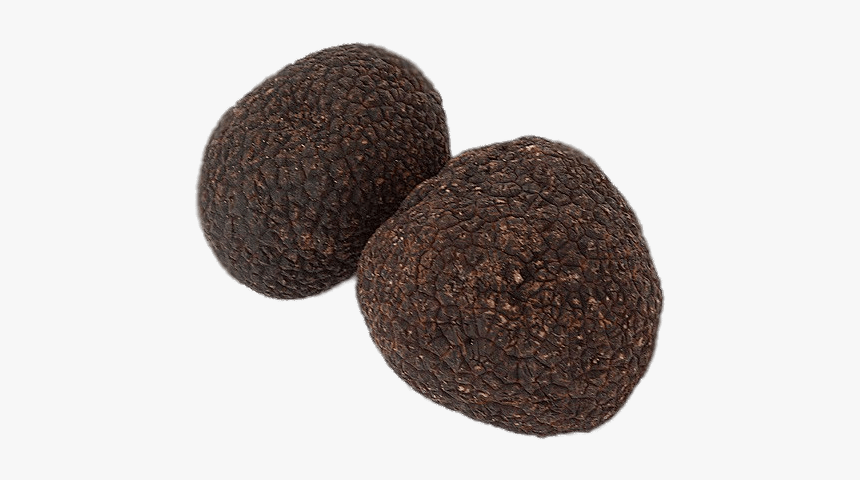 Duo Of Black Winter Truffles - Truffles Png, Transparent Png ...