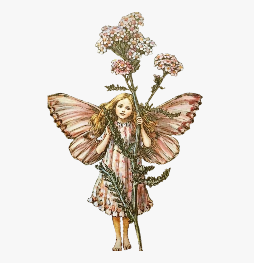 Cicely Mary Fairy Clipart