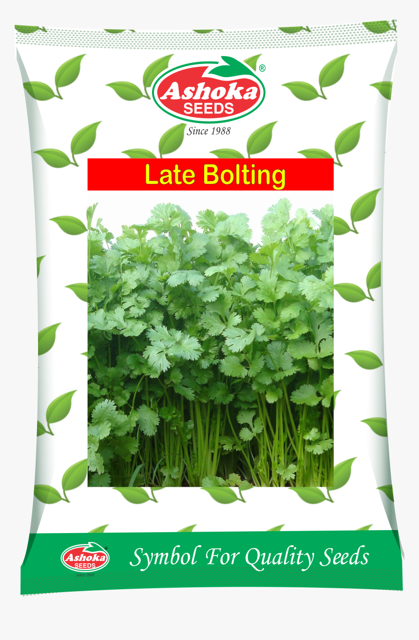 Ashok Seeds In Chilli Product , Png Download - Ashoka Bush Beans Seeds ...