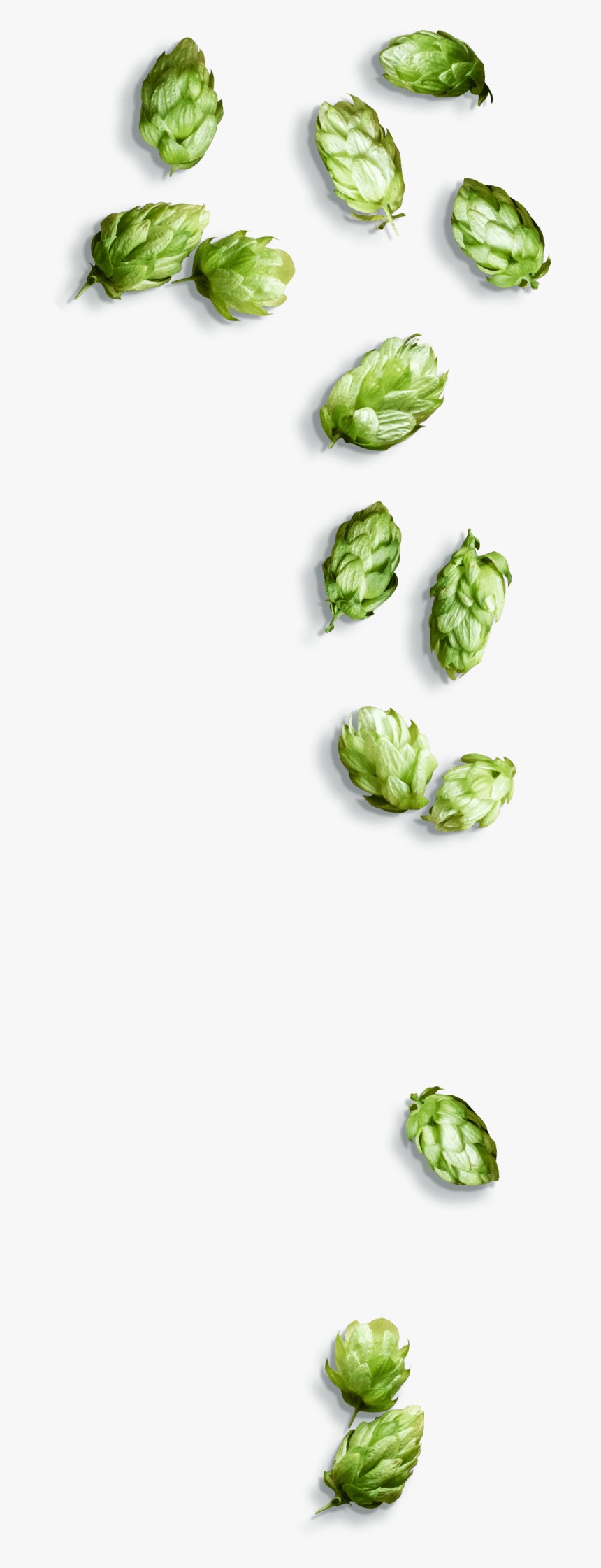 Flying Vegetables Png, Transparent Png , Transparent Png Image - PNGitem