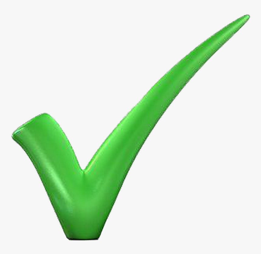 Big Tick, HD Png Download , Transparent Png Image - PNGitem