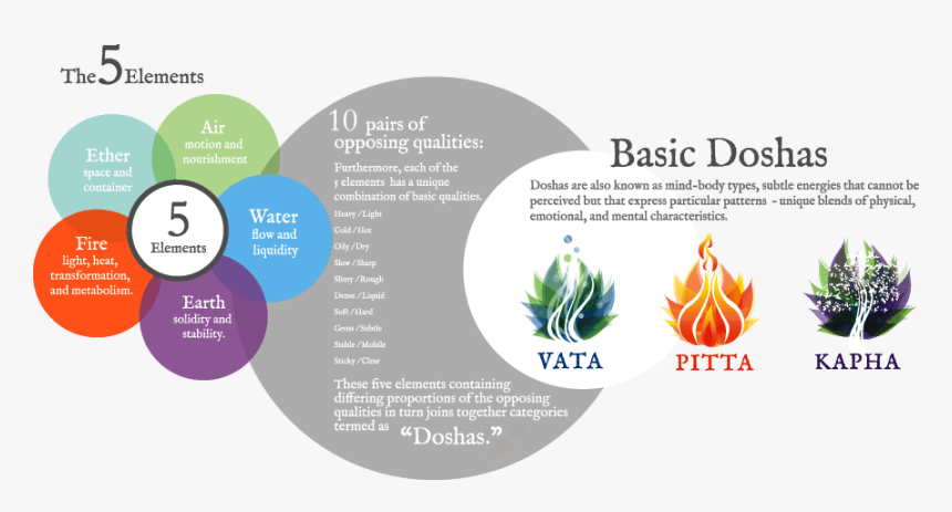 Ayurveda Dosha, HD Png Download , Transparent Png Image - PNGitem