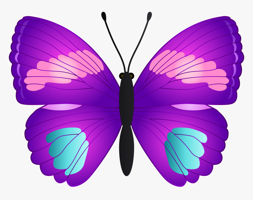 Transparent Png Clip Art, Png Download , Transparent Png Image - PNGitem