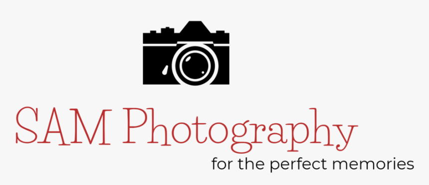 Picture Perfect Photography Png - Berlin, Transparent Png , Transparent ...