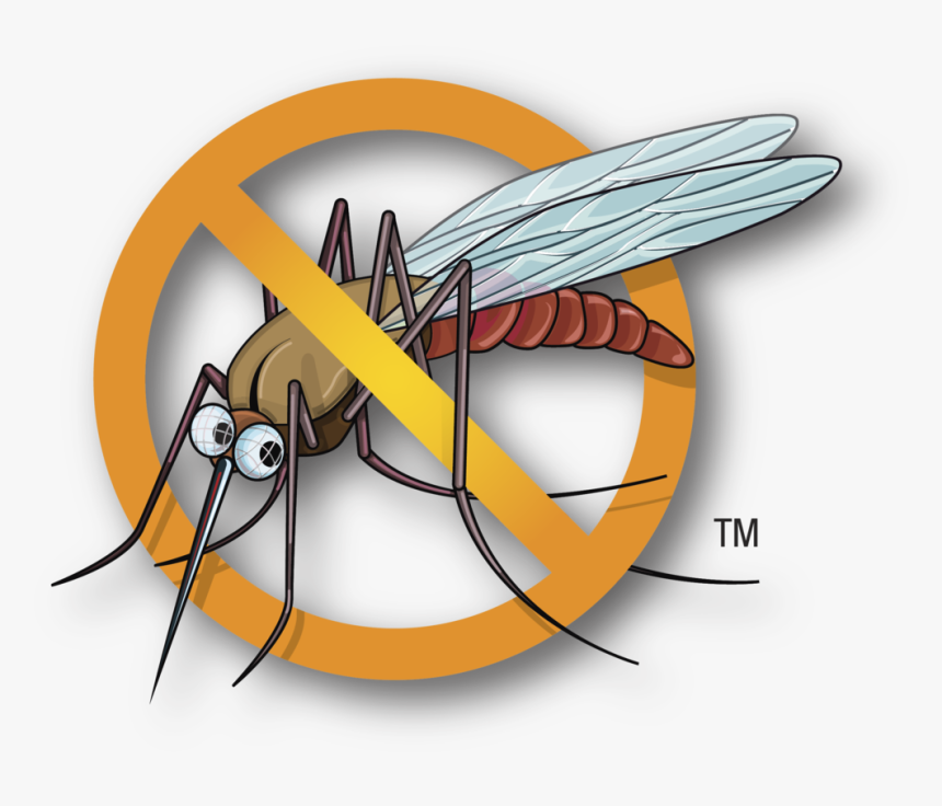Clipart Mosquito Da Dengue