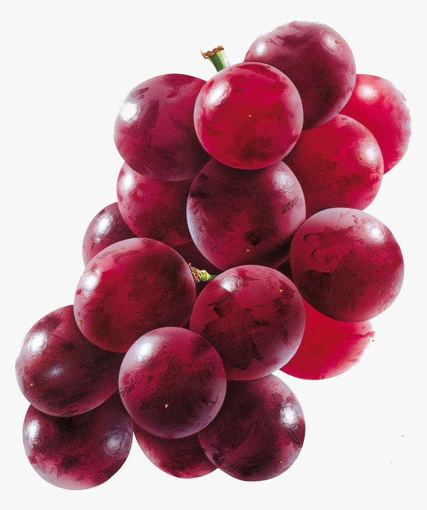 Thumb Image - Muscadine Grape Transparent Background, HD Png Download ...