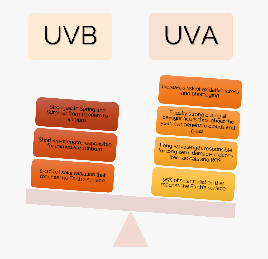 Uva Vs Uvb Comparison - Triangle, HD Png Download , Transparent Png Image - PNGitem