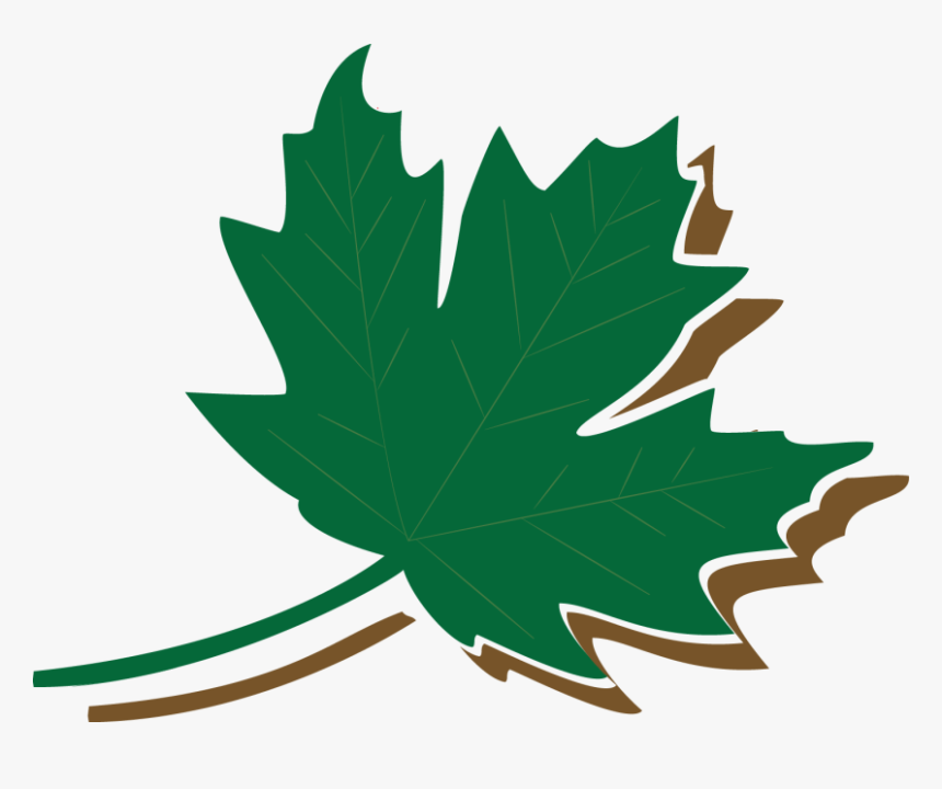 Maple Leaf, HD Png Download , Transparent Png Image - PNGitem