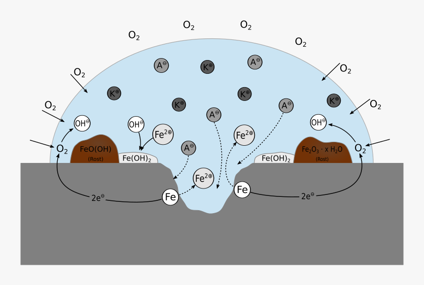 Rosten - Circle, HD Png Download , Transparent Png Image - PNGitem