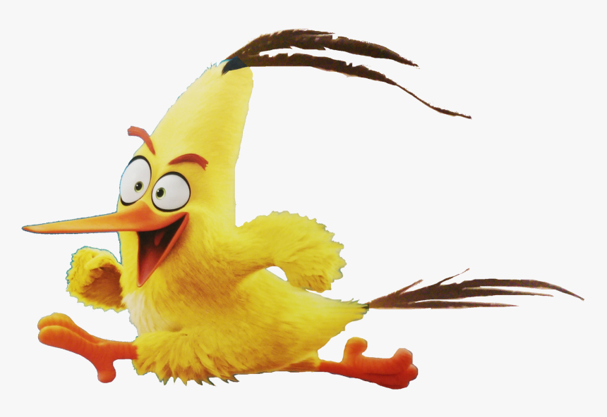 Angry Birds Chuck Png