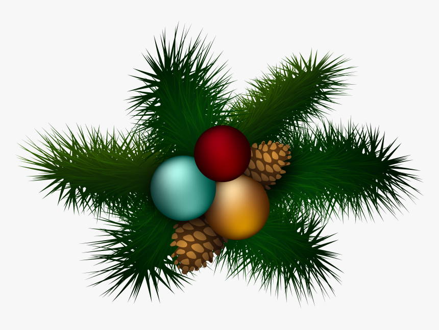 Transparent Pine Tree Top View Png - White Pine, Png Download ...