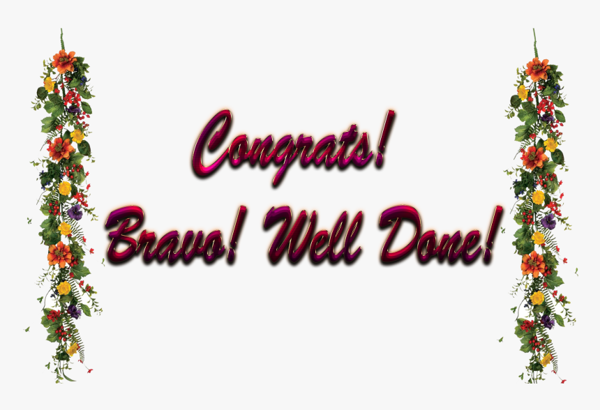 Congrats Bravo Well Done Png Free Image Download - Christmas Tree ...