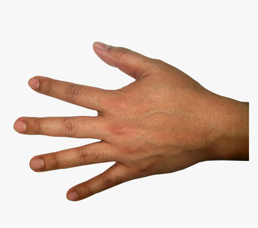 Five Finger Hand Png Image - Back Of Hand Png, Transparent Png ...