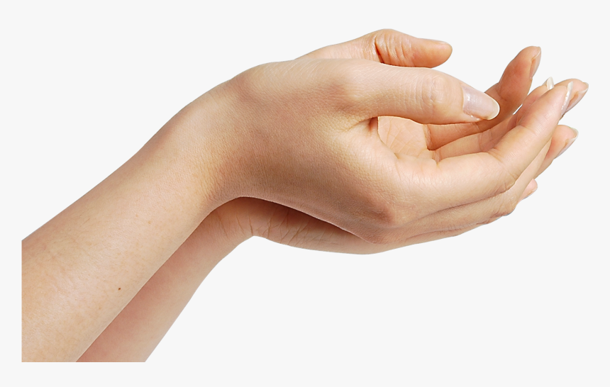 Download Hands Png - Hand Png, Transparent Png , Transparent Png Image ...