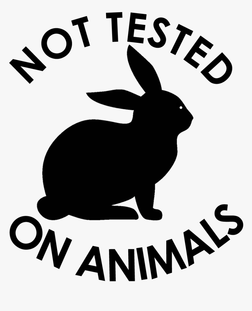 Not Tested On Animals Png - Domestic Rabbit, Transparent Png ...