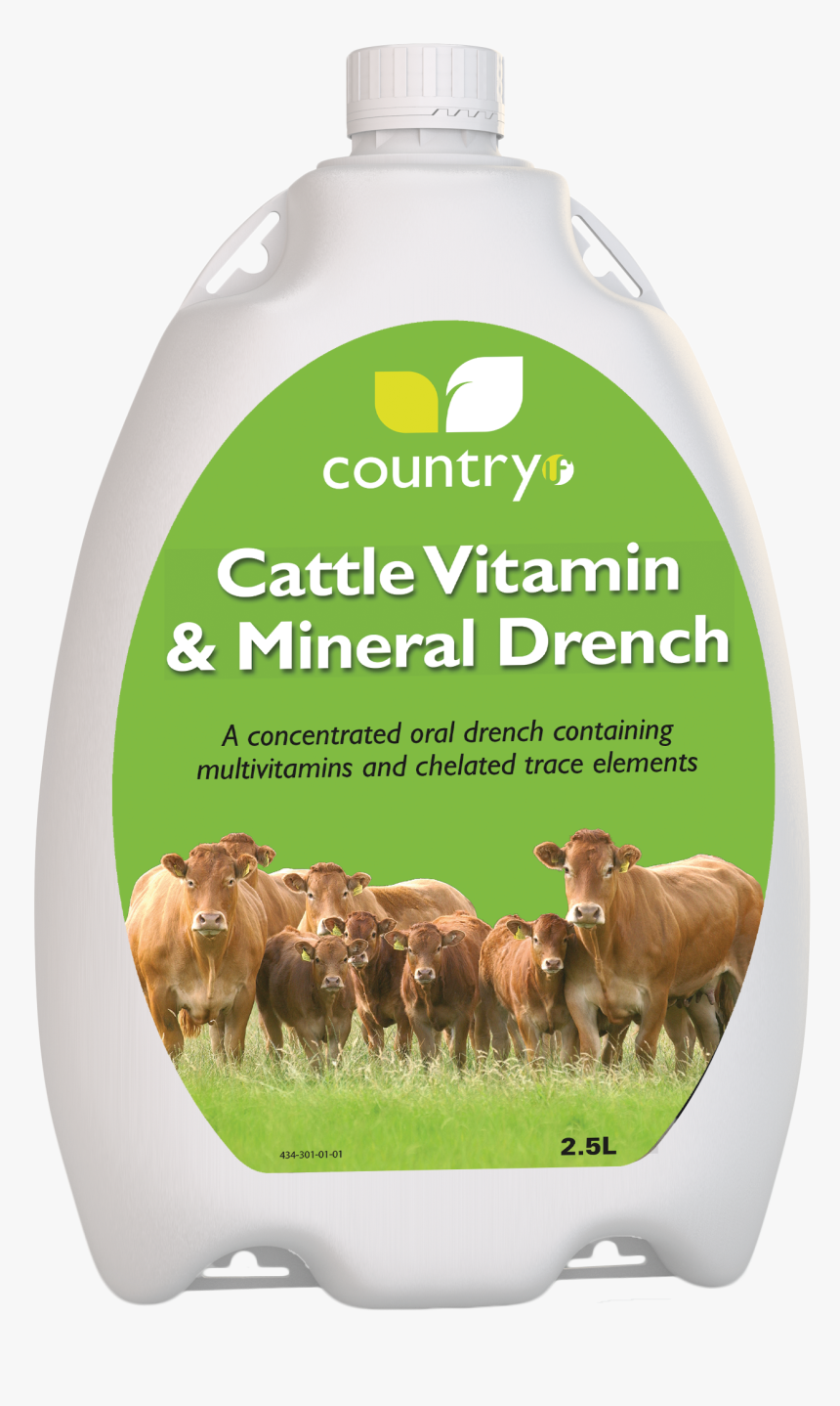 Mare, HD Png Download , Transparent Png Image - PNGitem