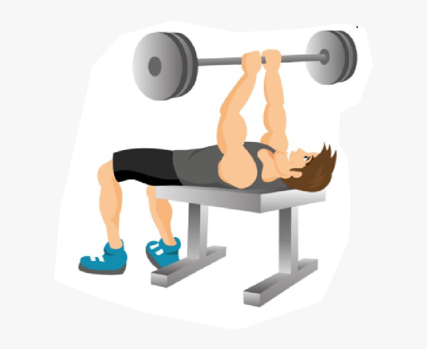 Gym Fitness Full Workout Page - Weight Training, HD Png Download ...