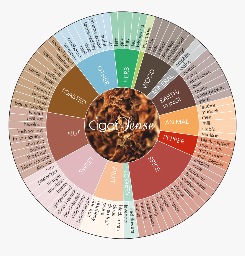 Pipe Tobacco Flavor Wheel, HD Png Download , Transparent Png Image ...