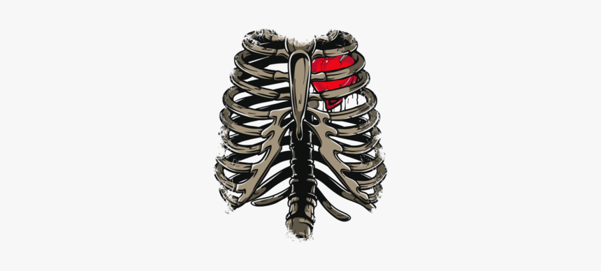 Rib Cage & Heart - Rib Cage Heart Png, Transparent Png , Transparent ...