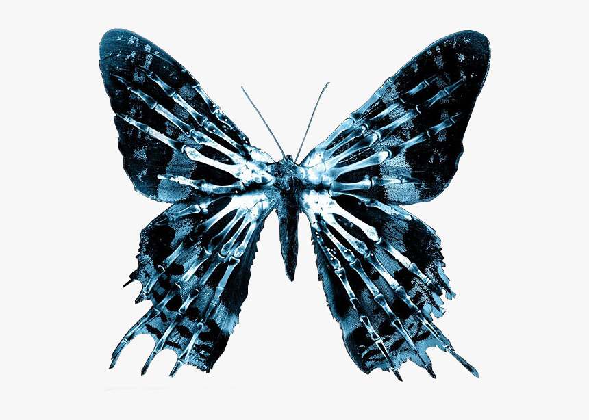 Fringe Png, Transparent Png , Transparent Png Image - PNGitem