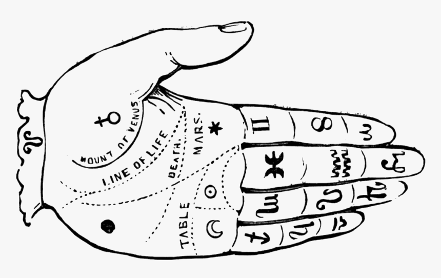 Palm Reading Diagram - Fortune Teller Hand Png, Transparent Png ...