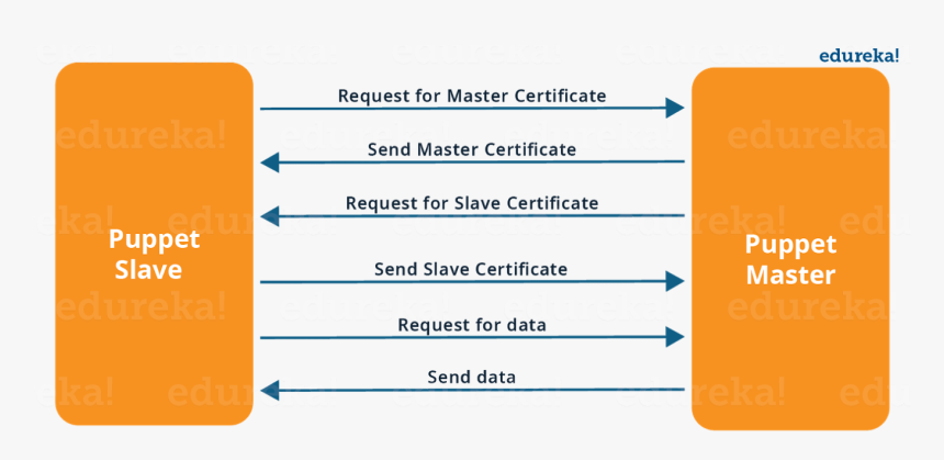 Ssl Connection Between Puppet Master And Puppet Slave - Puppet Master ...