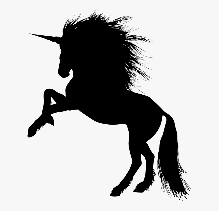 Pony,monochrome Photography,carnivoran - Stallion Png, Transparent Png ...