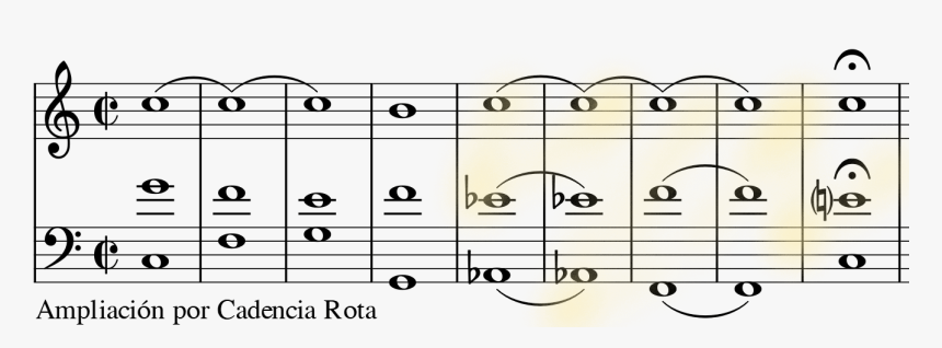 Glomérulo - Musescore 8va, HD Png Download , Transparent Png Image ...